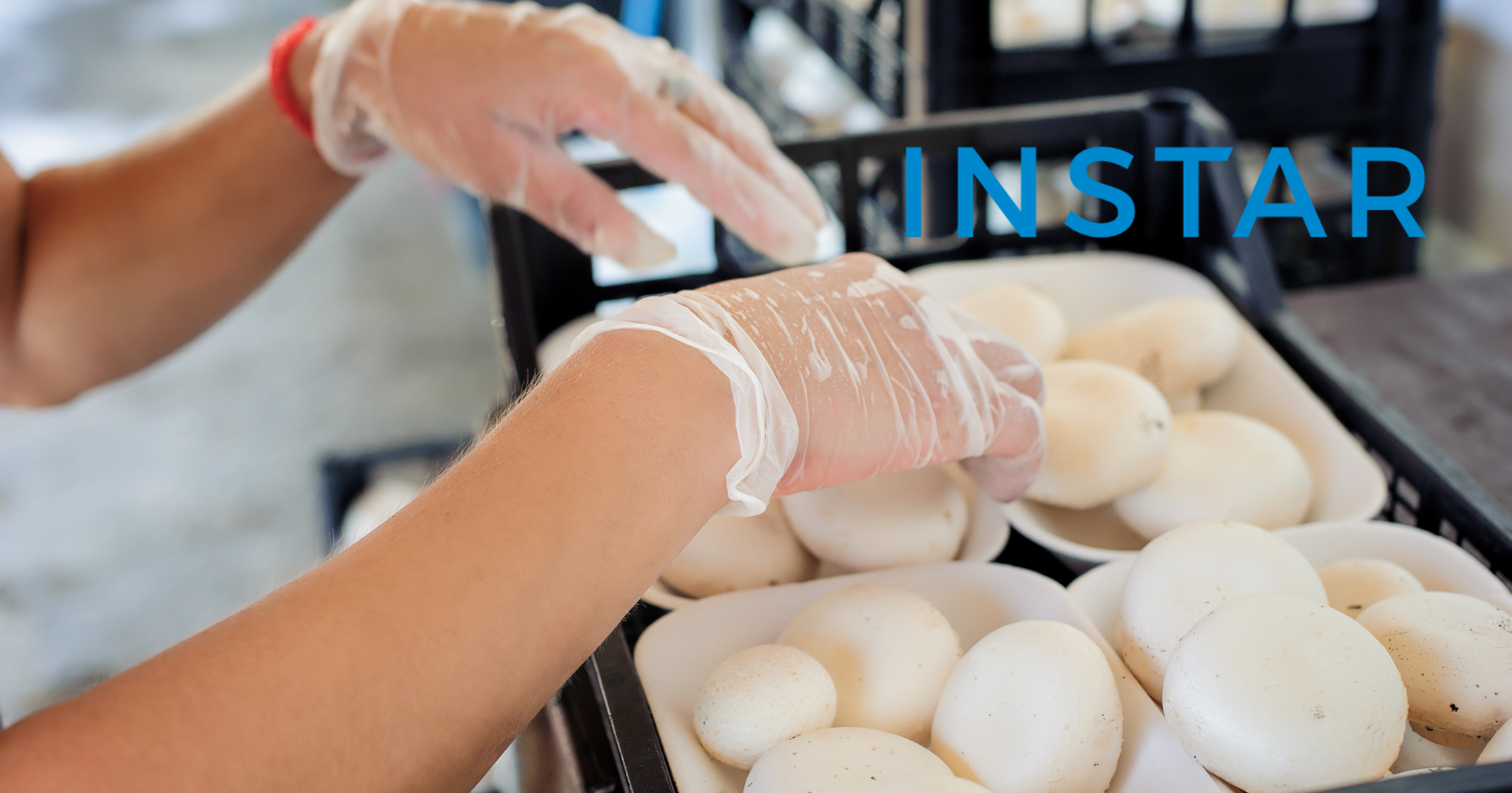 Instar must respect workers’ rights at Washington mushroom farm