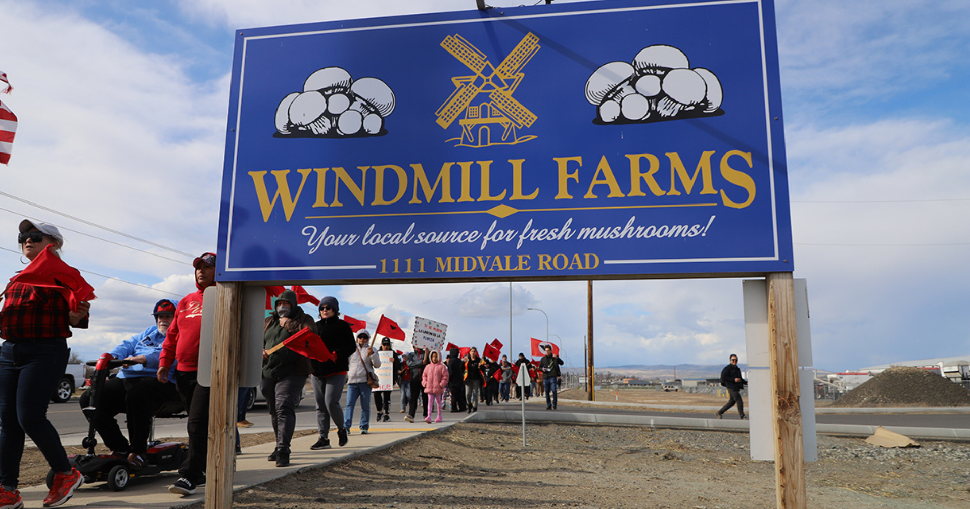 Farmworkers call for a boycott of Instar-owned Windmill Farms